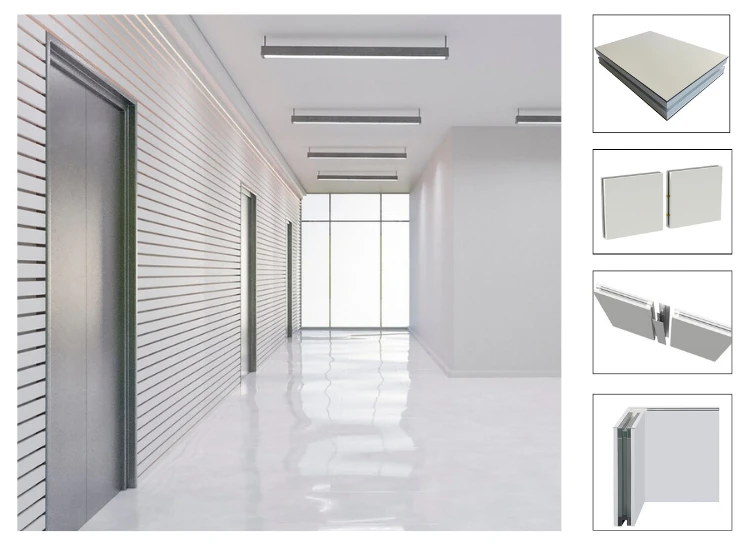Cleanroom Wall Panels | Durable & Customizable Solutions